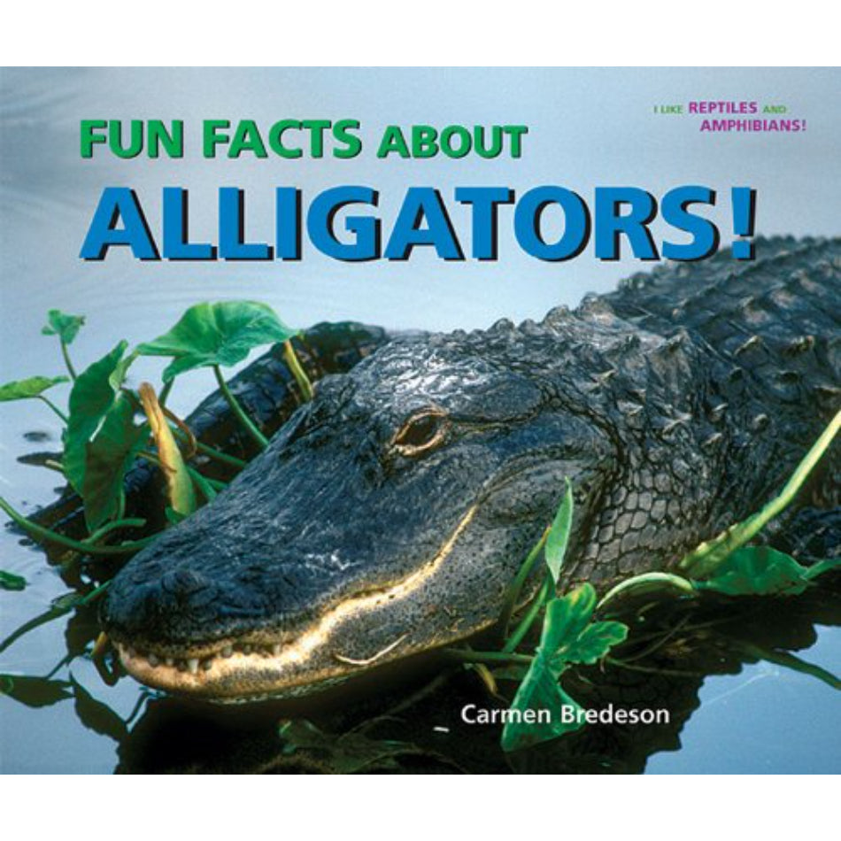 Fun Facts About Alligators! (I Like Reptiles and Amphibians!) – Maya's ...